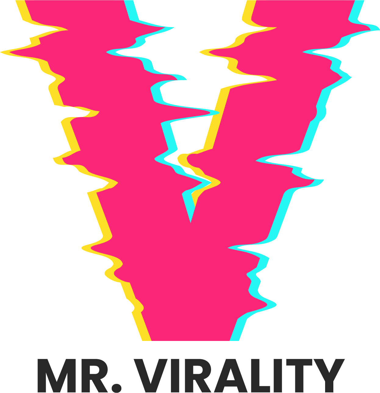 Best Influencer Marketing Agency in Delhi NCR, India - Mr. Virality